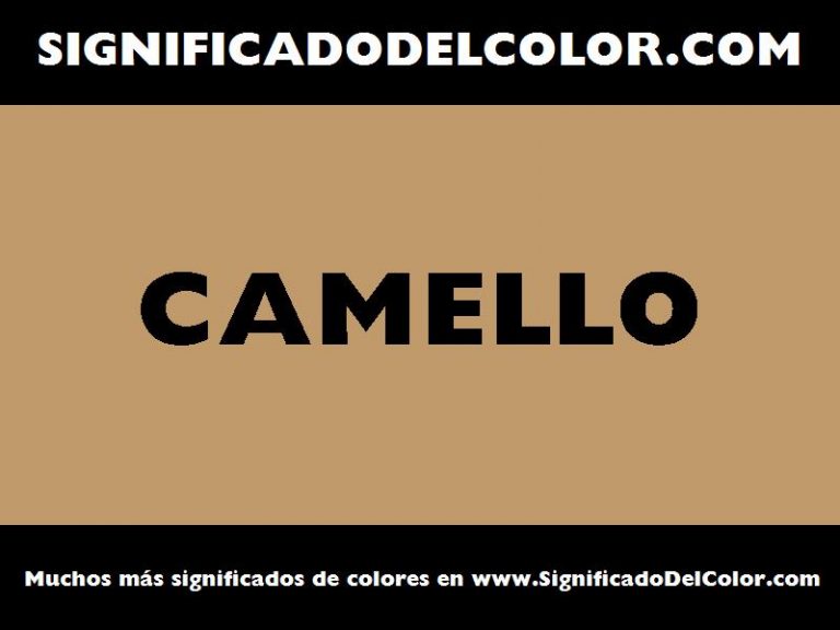 Cual es el color Camello 【Como es el color Camello + Ejemplo】