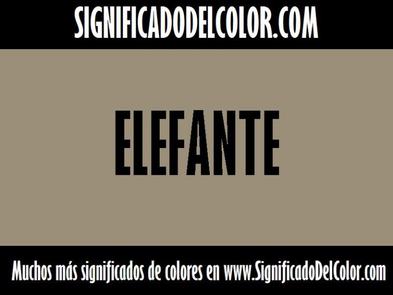 Cual es el color Elefante 【Como es el color Elefante + Ejemplo】