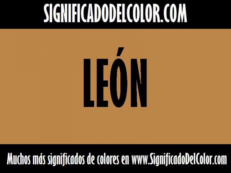 Cual es el color León 【Como es el color León + Ejemplo】